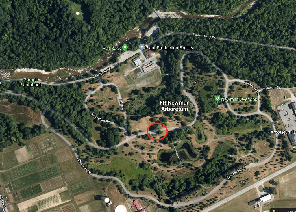 MITHACAL MILERS workouts moving to Tuesday at 12:15 at the Arboretum ...